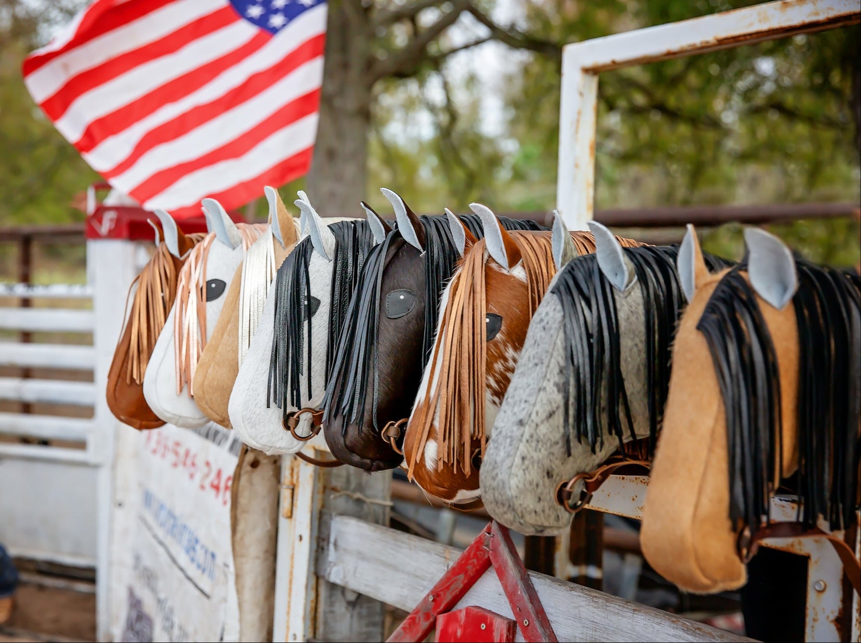 Bay Cow Pony – Desert Canary